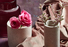 Blog | Temple & Webster