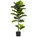 110cm Potted Faux Giant Fiddle Plant | Temple & Webster