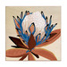 Cyprus Protea Framed Canvas Wall Art | Temple & Webster