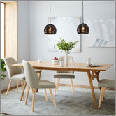 Lunescent_Lighting Botanical Iron Pendant Light | Temple & Webster