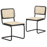 Continental Designs Axel Dining Chairs | Temple & Webster