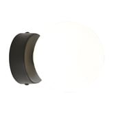 Zander Lighting Morgan Steel Vanity Light | Temple & Webster