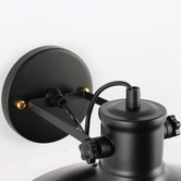 Observatory Lighting Wire Guard Industrial Wall Light | Temple & Webster