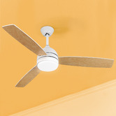 BraxtonHome Baptiste 132cm DC Ceiling Fan with Light | Temple & Webster