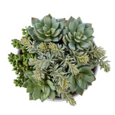 The Home Collective 27cm Faux Mixed Succulent with Glass Bowl | Temple ...