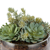 The Home Collective 27cm Faux Mixed Succulent with Glass Bowl | Temple ...