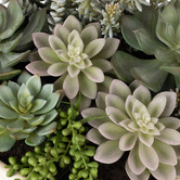 The Home Collective 37cm Faux Succulent with Cement Pot | Temple & Webster