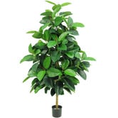 170cm Potted Faux Rubber Tree | Temple & Webster