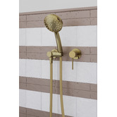 Clovelly Brushed Gold Round Hand-Held Shower | Temple & Webster