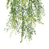 BotanicArtisan 90cm Faux Hanging Mixed Green String of Pearls | Temple ...