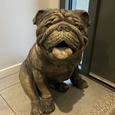 The Complete Garden Clifford Bulldog Fibrestone Statue | Temple & Webster