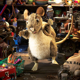 Folkmanis Folkmanis Pack Rat Puppet | Temple & Webster
