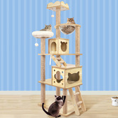 Poppy Cat Tree | Temple & Webster