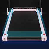 HoxtonRoom Ronnie Walking Pad with Handrail | Temple & Webster