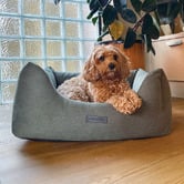 Bolstered Dog Bed | Temple & Webster