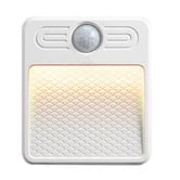 Everlit LED Motion Sensor Night Light | Temple & Webster