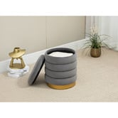ShirleyLaneFurniture Dahlia Velvet Storage Ottoman | Temple & Webster