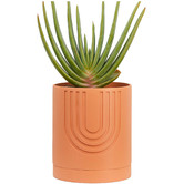 ElementaLiving Desert Etched Resin Plant Pot | Temple & Webster