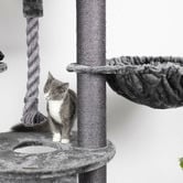 Kazoo 141cm Charcoal 4 Tier Cat Tree | Temple & Webster