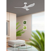 Eglo Noosa DC Ceiling Fan with Remote Control | Temple & Webster
