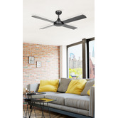 Eglo Stradbroke DC Ceiling Fan with Remote Contol | Temple & Webster