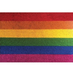 WelcomeWeave Rainbow Doormat | Temple & Webster