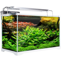 Letitia Lane Starfire Glass 35L Aquarium Fish Tank | Temple & Webster