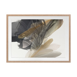 Alcove Studio Fall from Grace I Printed Wall Art | Temple & Webster
