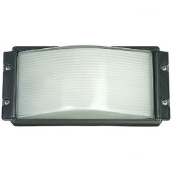 Zander Lighting Deckson Exterior Bulkhead Plain Light in Black | Temple ...
