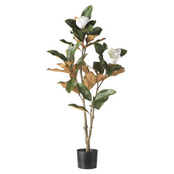 115cm Potted Faux Magnolia Tree | Temple & Webster