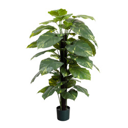 pollen&fauna 137cm Potted Faux Pothos Plant on Pole | Temple & Webster