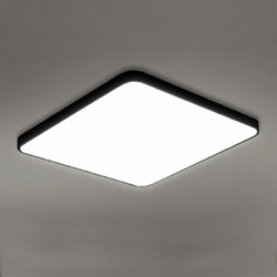 Oakleigh Home Urmia 30cm LED Ceiling Light | Temple & Webster