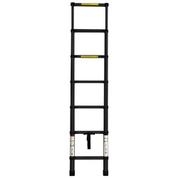 Oakleigh Home 200cm Infinity Aluminium Telescopic Ladder | Temple & Webster