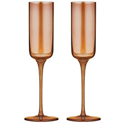 Tempa Verity 192ml Crystal Champagne Glasses | Temple & Webster