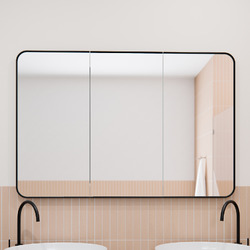 PrincipleArc Caleb 1200mm White Rectangular Mirror Cabinet | Temple ...