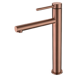 FontaineIndustries Rosa Tall Basin Mixer | Temple & Webster