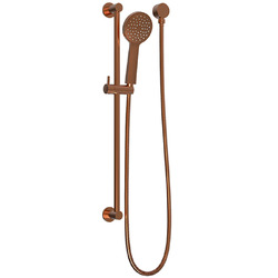 ArchitecturalDesigner Soul Classic Rail Shower | Temple & Webster