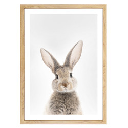TinyTotsPrints Bunny Rabbit Printed Wall Art | Temple & Webster