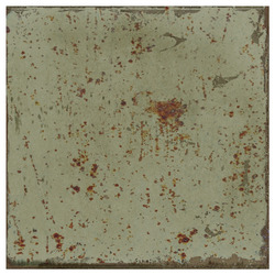 Moss | Temple & Webster