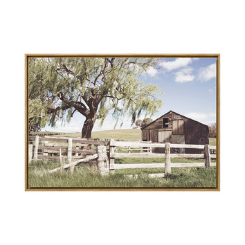 A La Mode Studio Backcountry Framed Canvas Wall Art | Temple & Webster