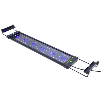 Blue White Dynamic Power 70cm 2835 LED Aquarium Light | Temple & Webster