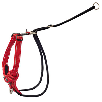 Rogz Red Control Stop Pull Harness | Temple & Webster