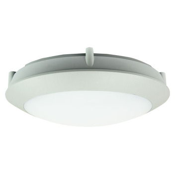 Zander Lighting Desio LED Outdoor Oyster Light | Temple & Webster