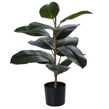 The Home Collective 62cm Potted Faux Rubber Tree | Temple & Webster