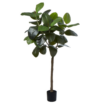 150cm Potted Faux Rubber Tree | Temple & Webster