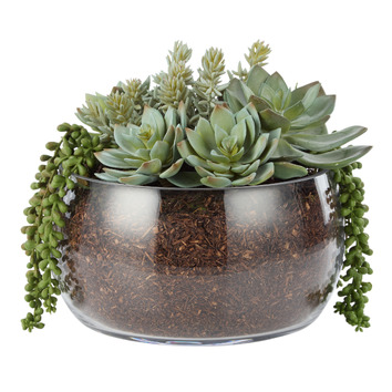 34cm Faux Mixed Succulent with Glass Bowl | Temple & Webster