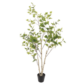 154cm Potted Faux Silver Birch Tree | Temple & Webster