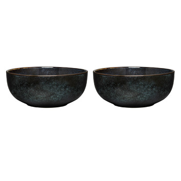 Ecology Raven Element 20cm Bowls | Temple & Webster