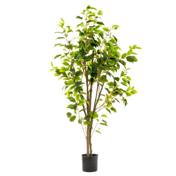 BayviewLiving 120cm Potted Ficus Tree | Temple & Webster