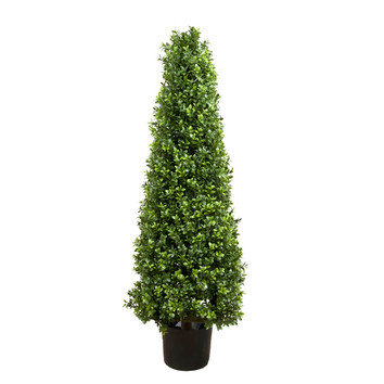 BayviewLiving 100cm Potted Boxwood Pyramid Tree | Temple & Webster